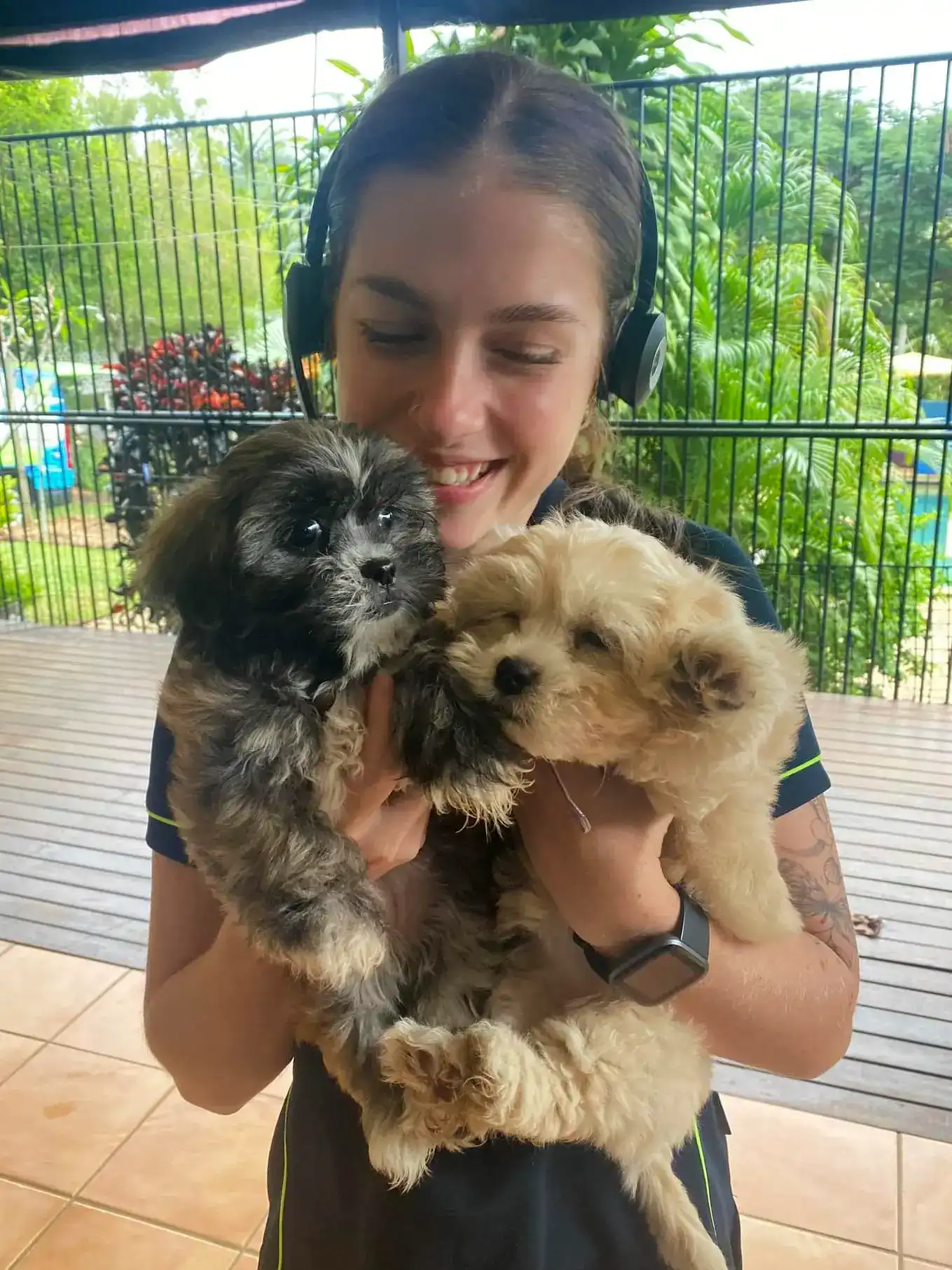 Dog Transport - Dogtainers | Domestic and International Pet Transport