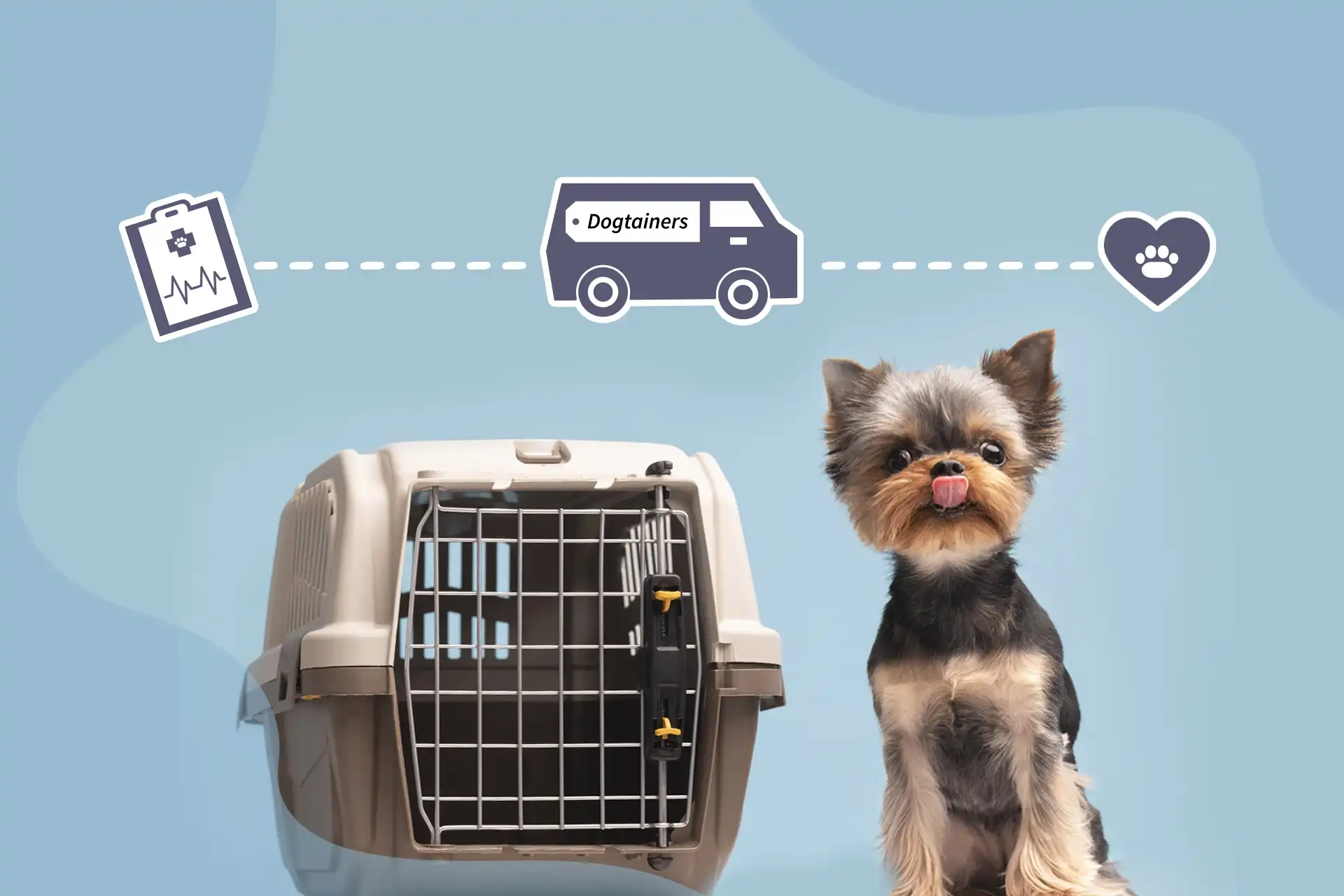 Pets Quarantine Australia | Bringing Your Pet Home