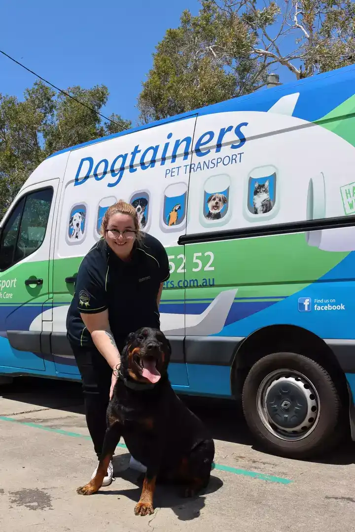 Dog Transport - Dogtainers | Domestic and International Pet Transport