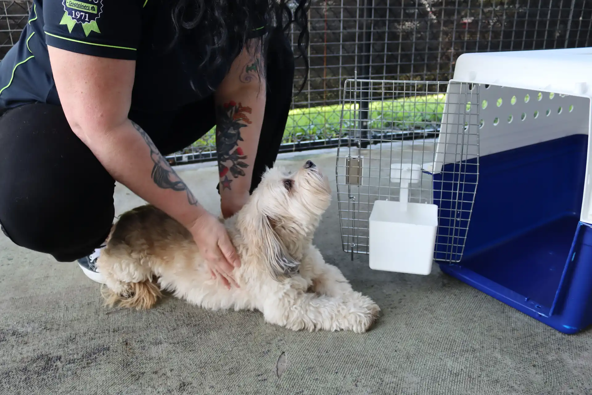 Pets Quarantine Australia | Bringing Your Pet Home