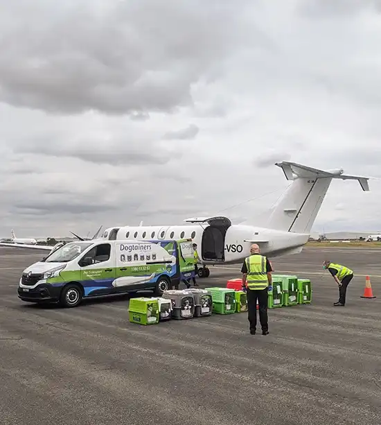 Dog Transport - Dogtainers | Domestic and International Pet Transport