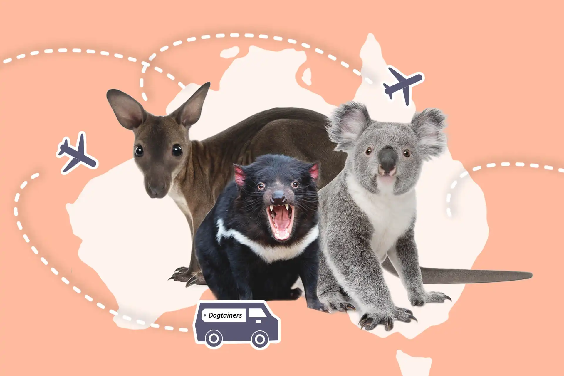 Dogtainers | Domestic and International Pet Transport